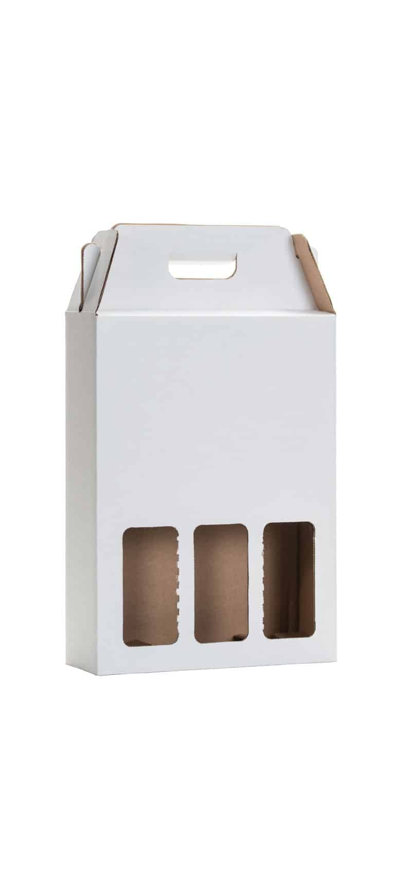 CARRIER 3pk - Waterloo Container